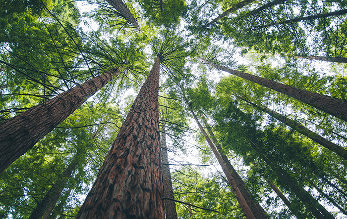 Annual Meeting - Greylock Federal Credit Union